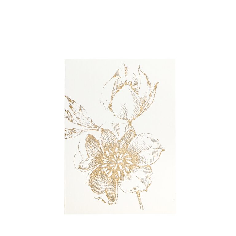 Grüßkarte CARD-HELLEBORUS-DIN-B6 – dorothee Lehnen – Handgemachte ...